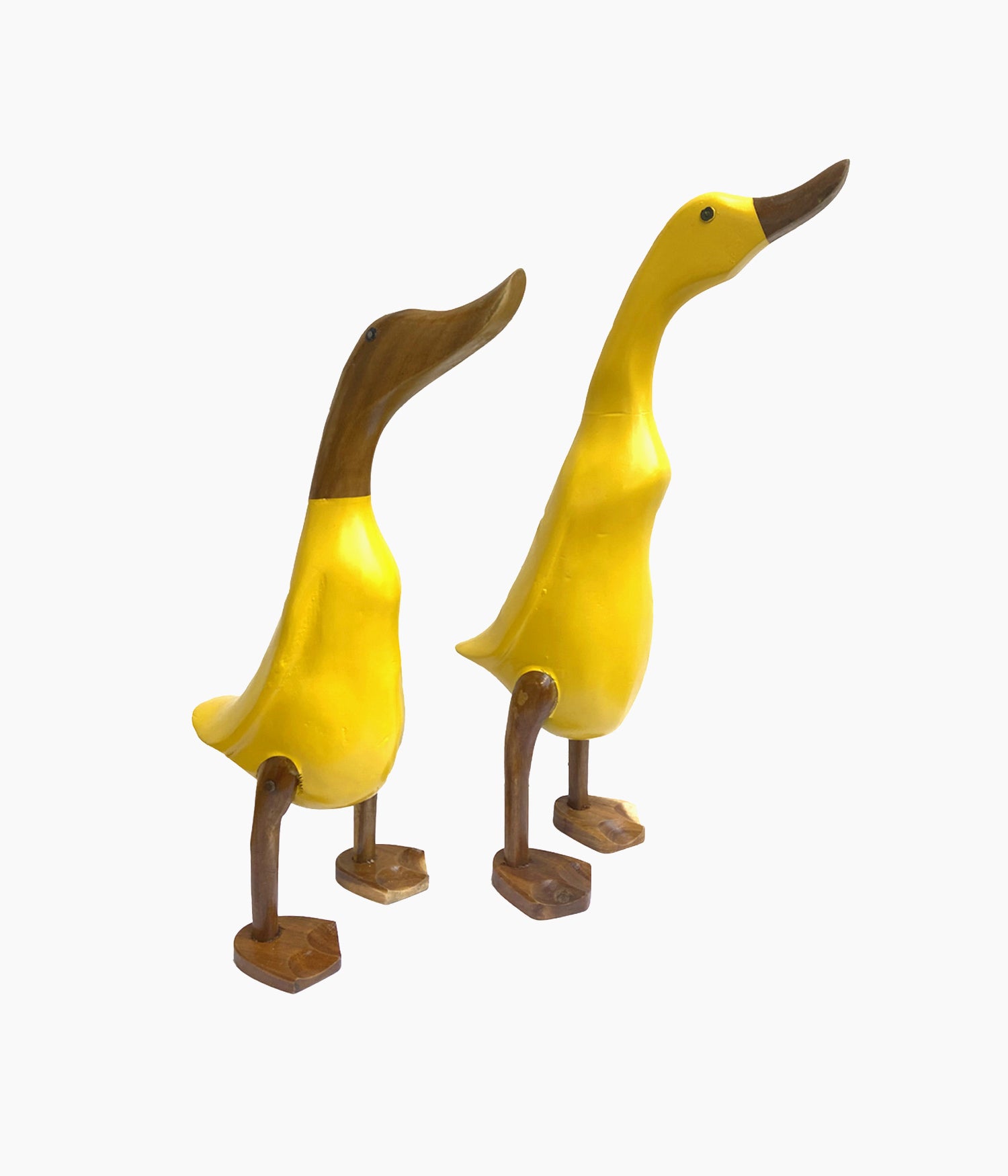 CANARD GRAND MODELE - YELLOW – Le Grand Comptoir